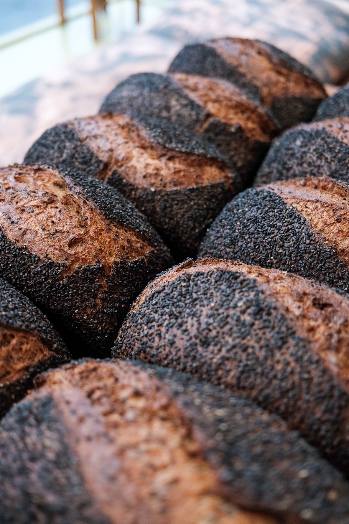 Tabor Bread - Portland's Sourdough Bakery